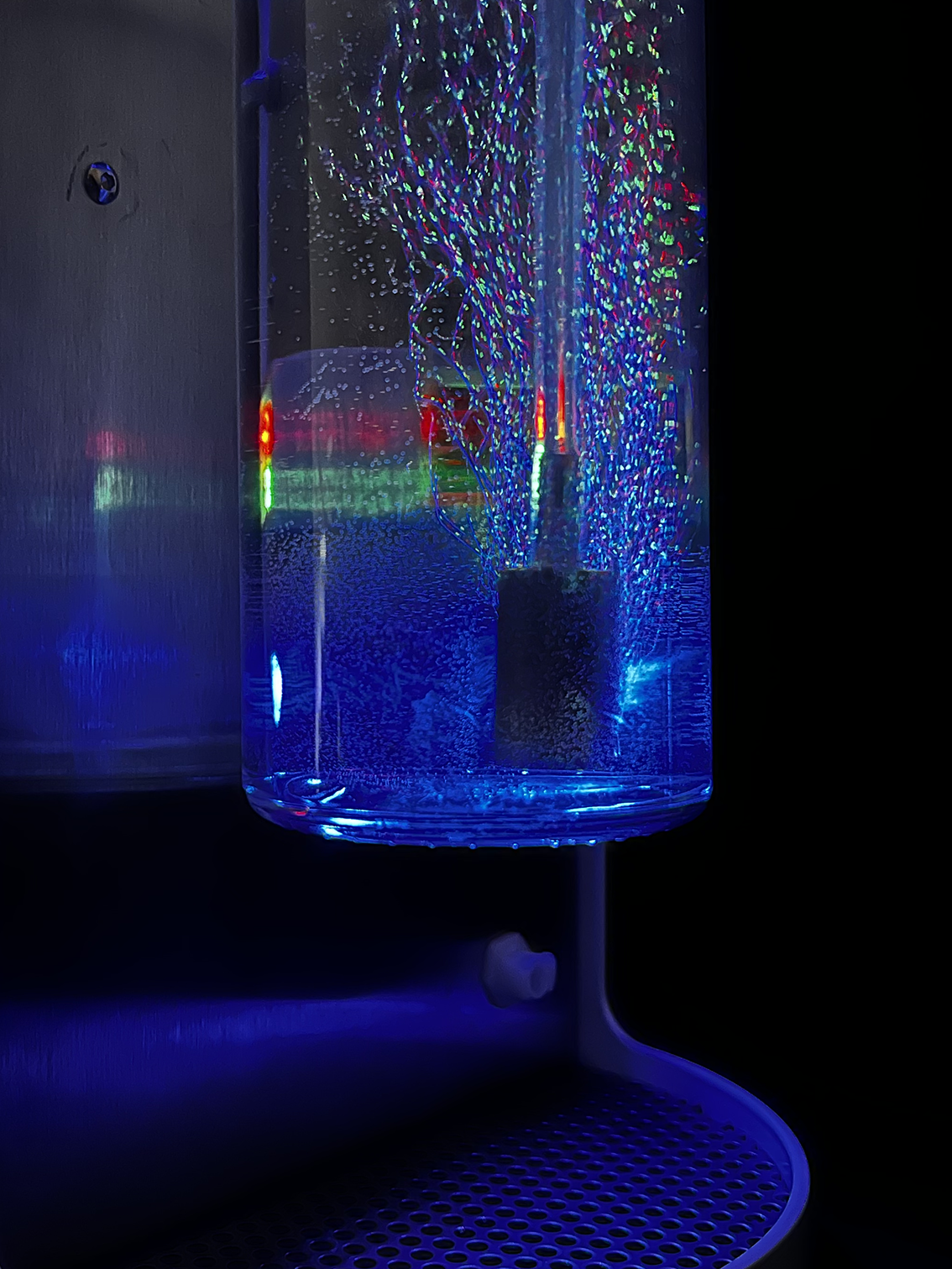 Home › lean-cat.com